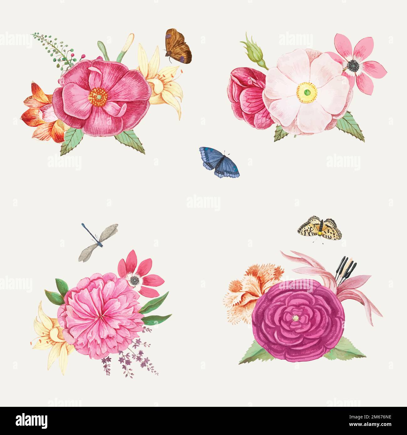 Butterfly drawing historical Stock Vector Images - Alamy