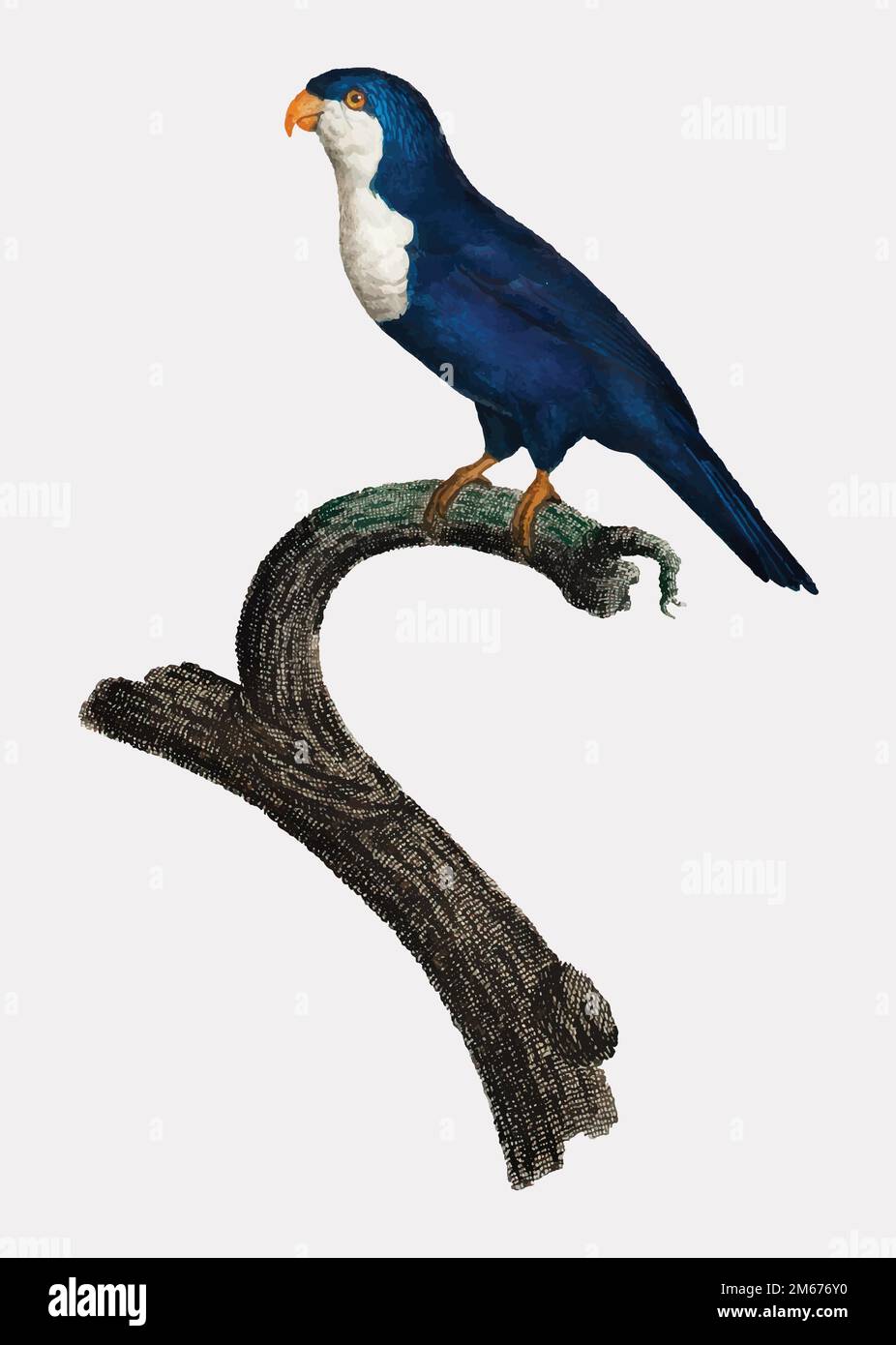 Arimanon Stock Vector Images - Alamy