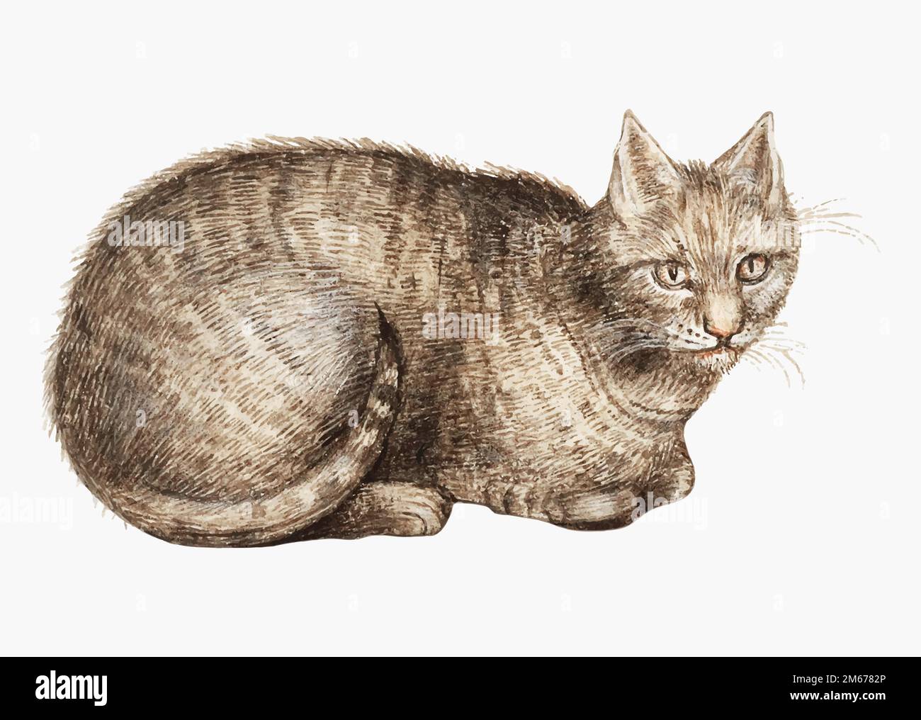 Vintage domestic cat illustration in vector Stock Vector Image & Art ...