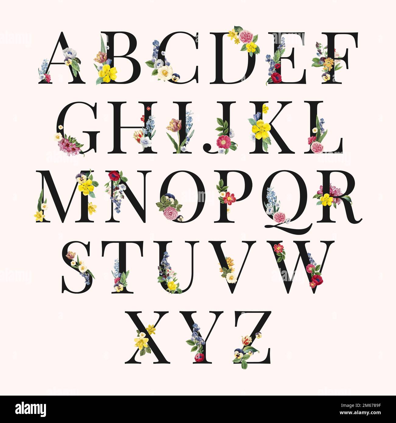 Floral capital alphabet set vector Stock Vector Image & Art - Alamy