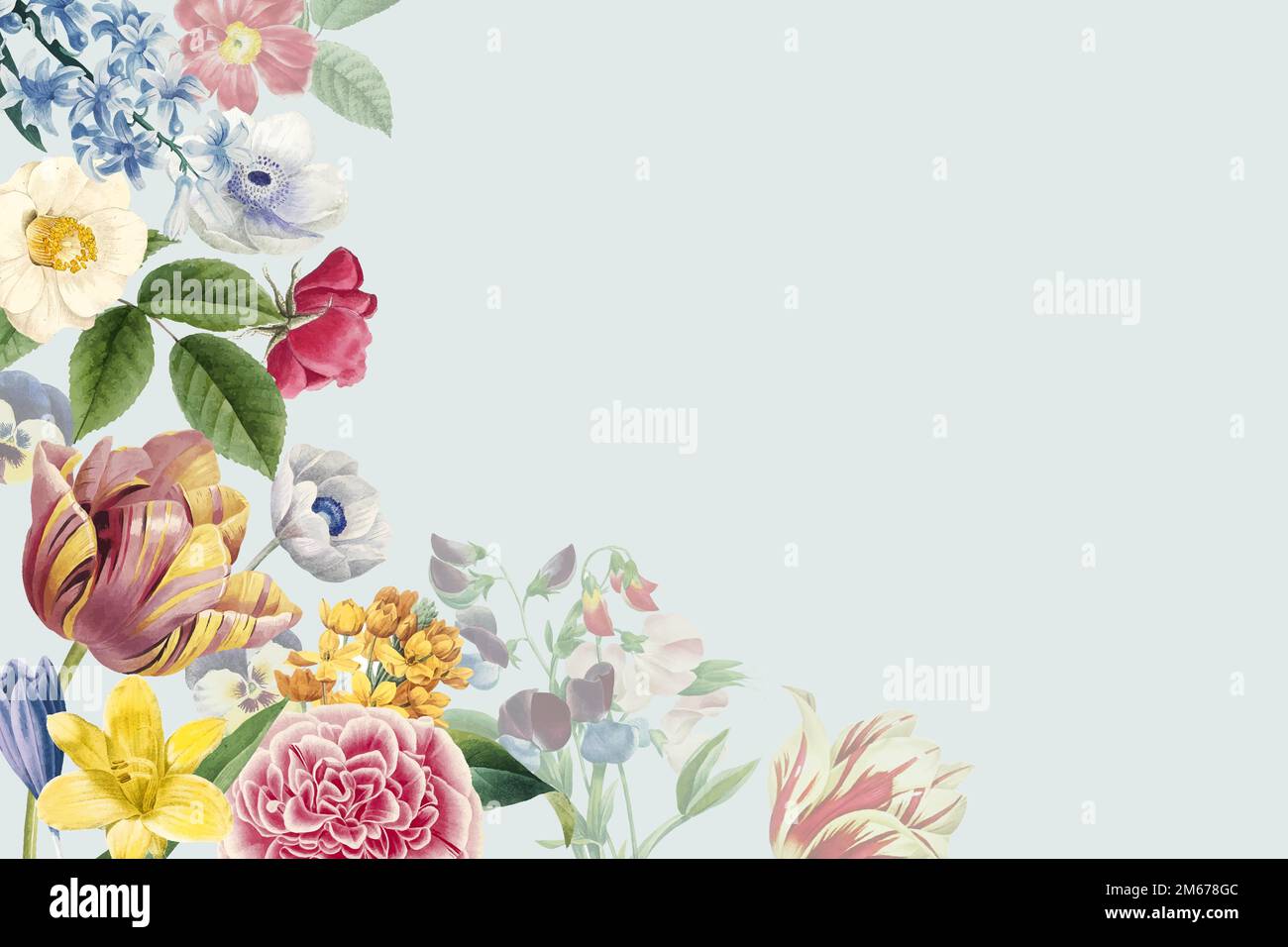 Blank floral frame design vector Stock Vector Image & Art - Alamy