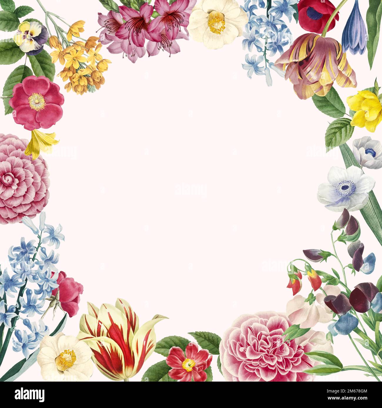 Blank floral frame design vector Stock Vector Image & Art - Alamy