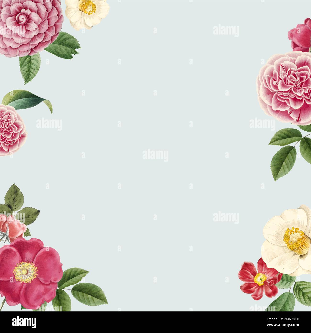 Blank floral frame design vector Stock Vector Image & Art - Alamy