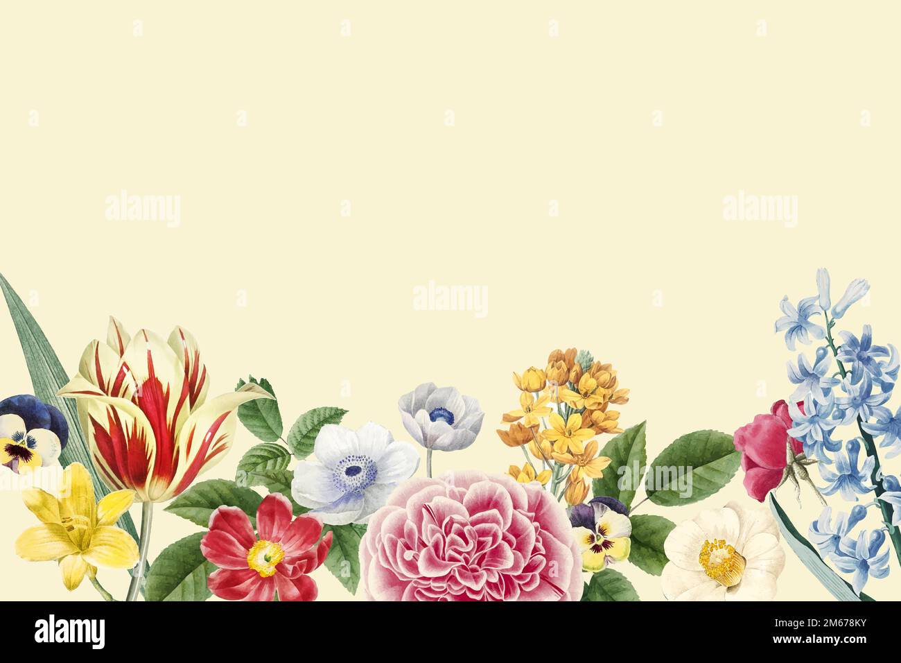 Blank floral frame design vector Stock Vector Image & Art - Alamy