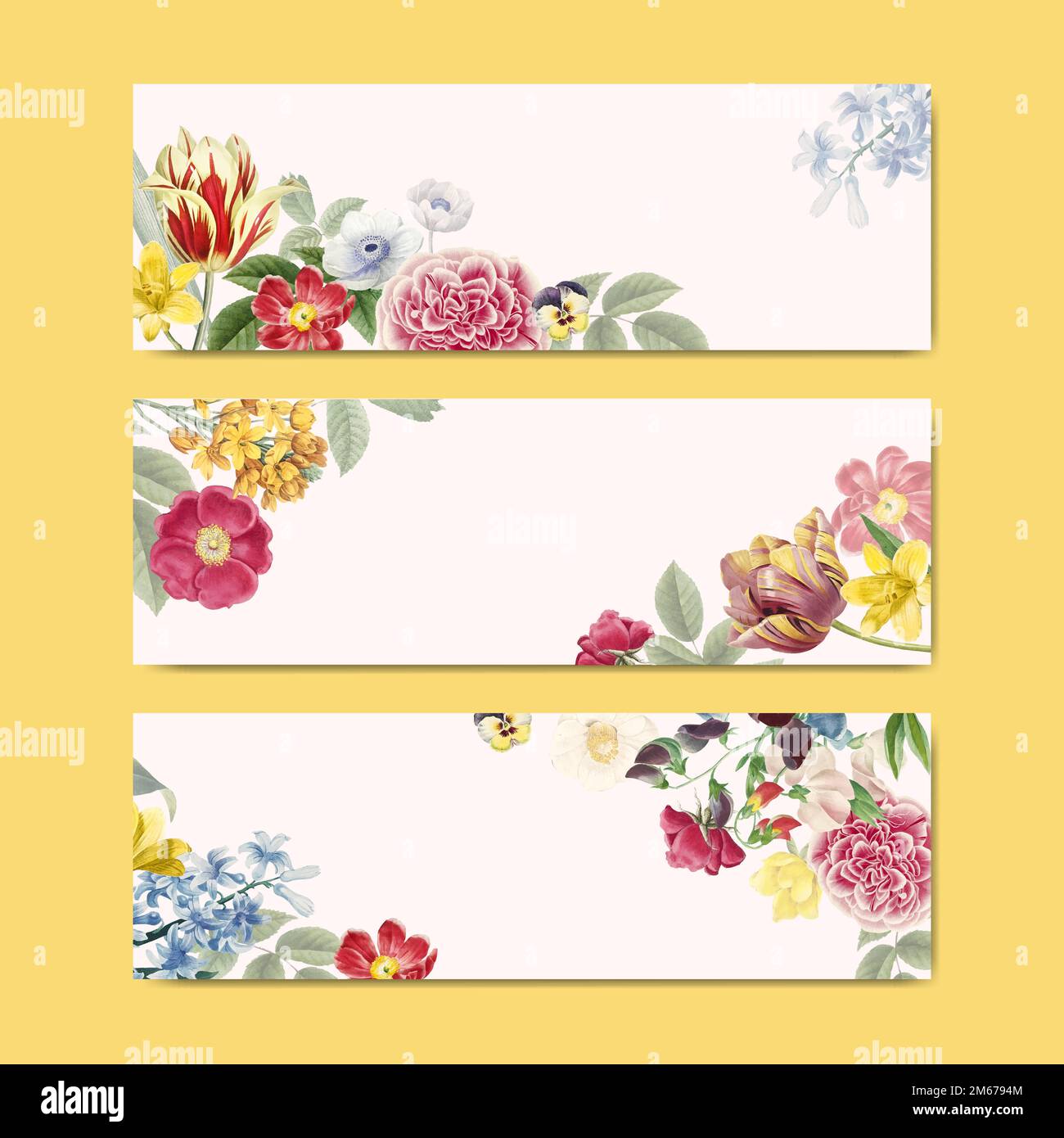 Blank floral banner collection vector Stock Vector Image & Art - Alamy