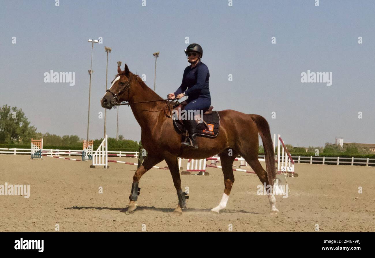 Maj. Amber Hampton, commander, 169th Medical Detachment Veterinary ...