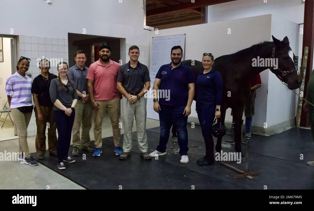 Veterinarians and animal care specialists from Camp Arifjan, pose with ...