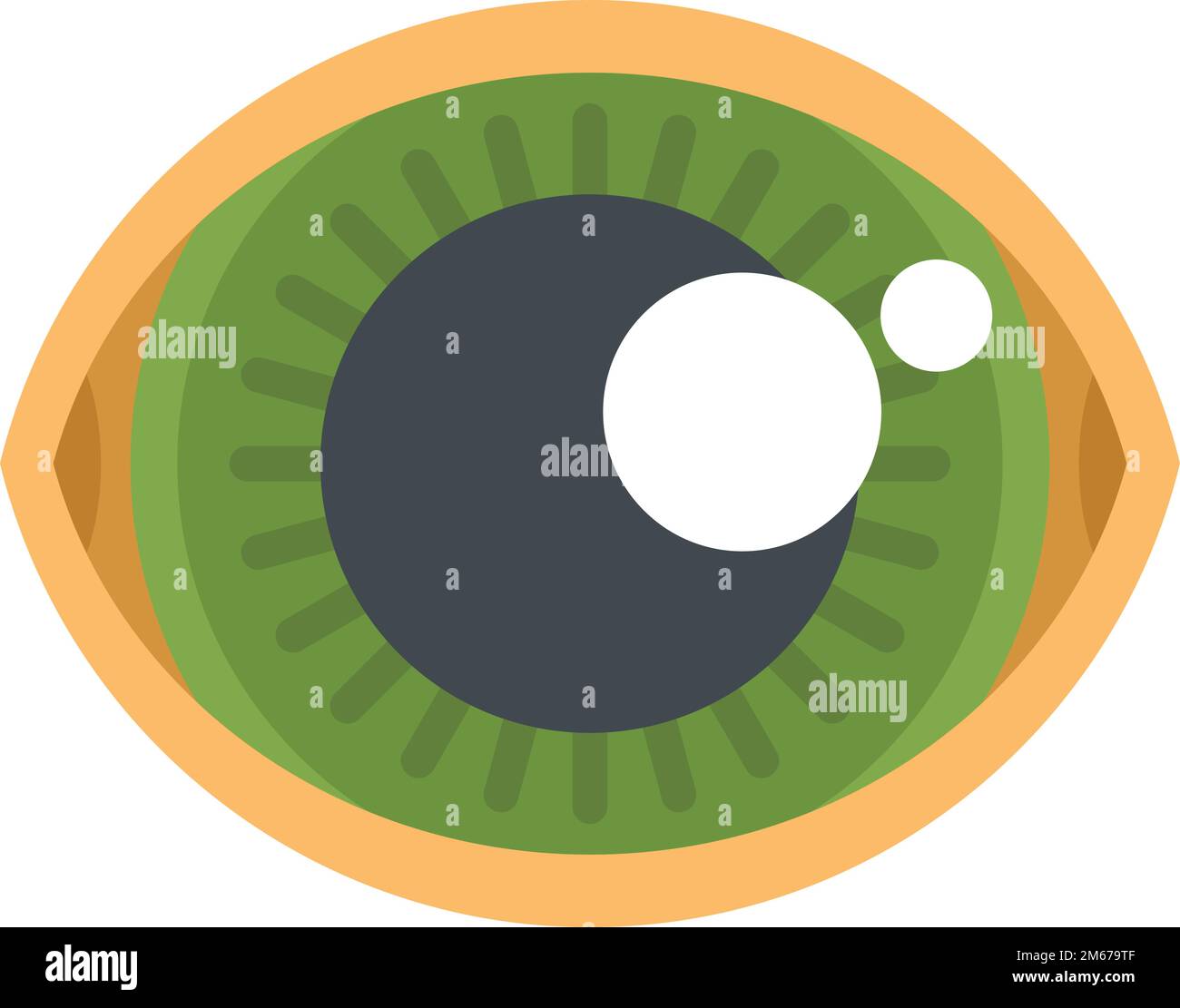 Big human eye icon flat vector. Eyeball sight. View look isolated Stock ...