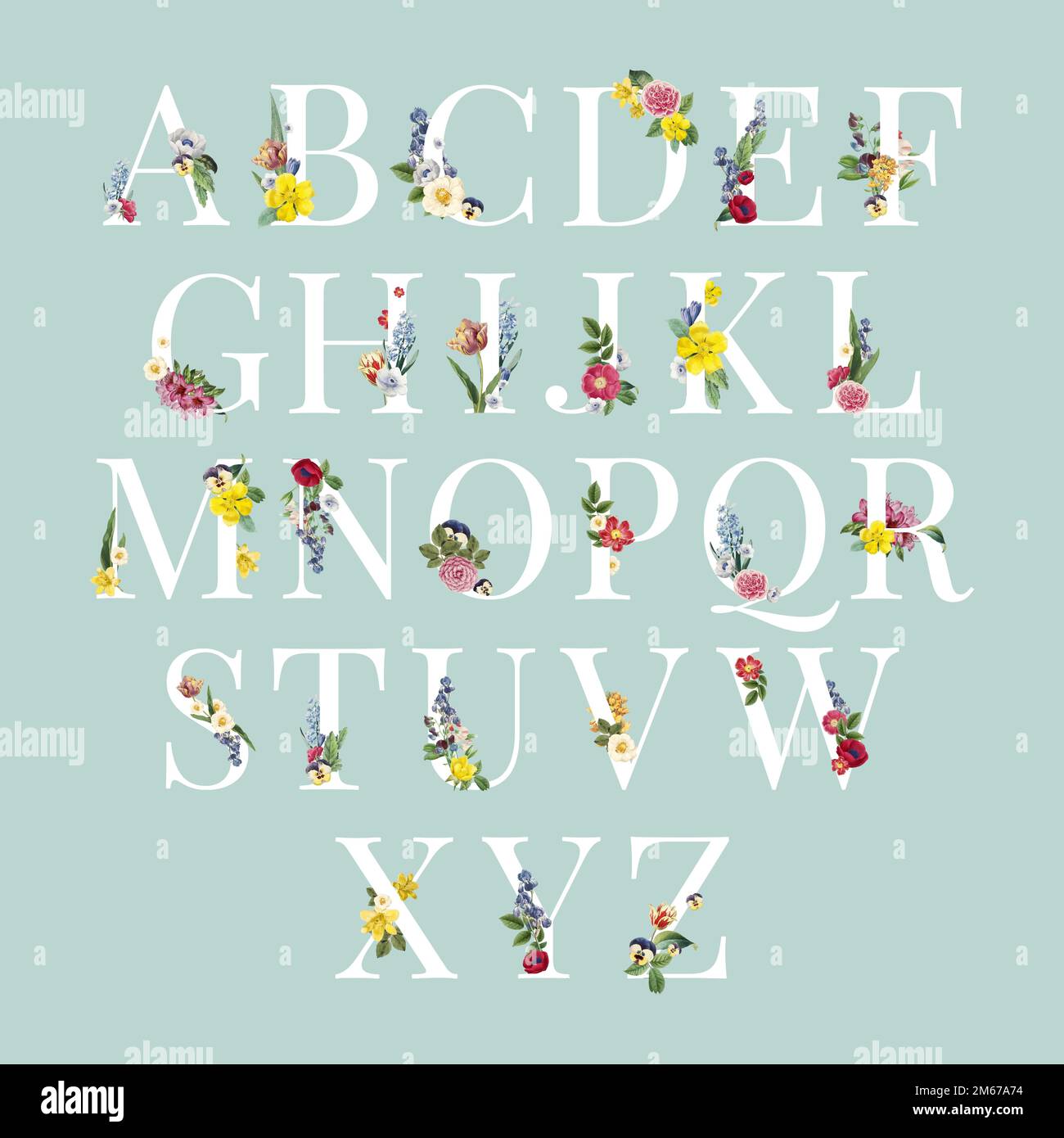 Floral capital alphabet set vector Stock Vector Image & Art - Alamy