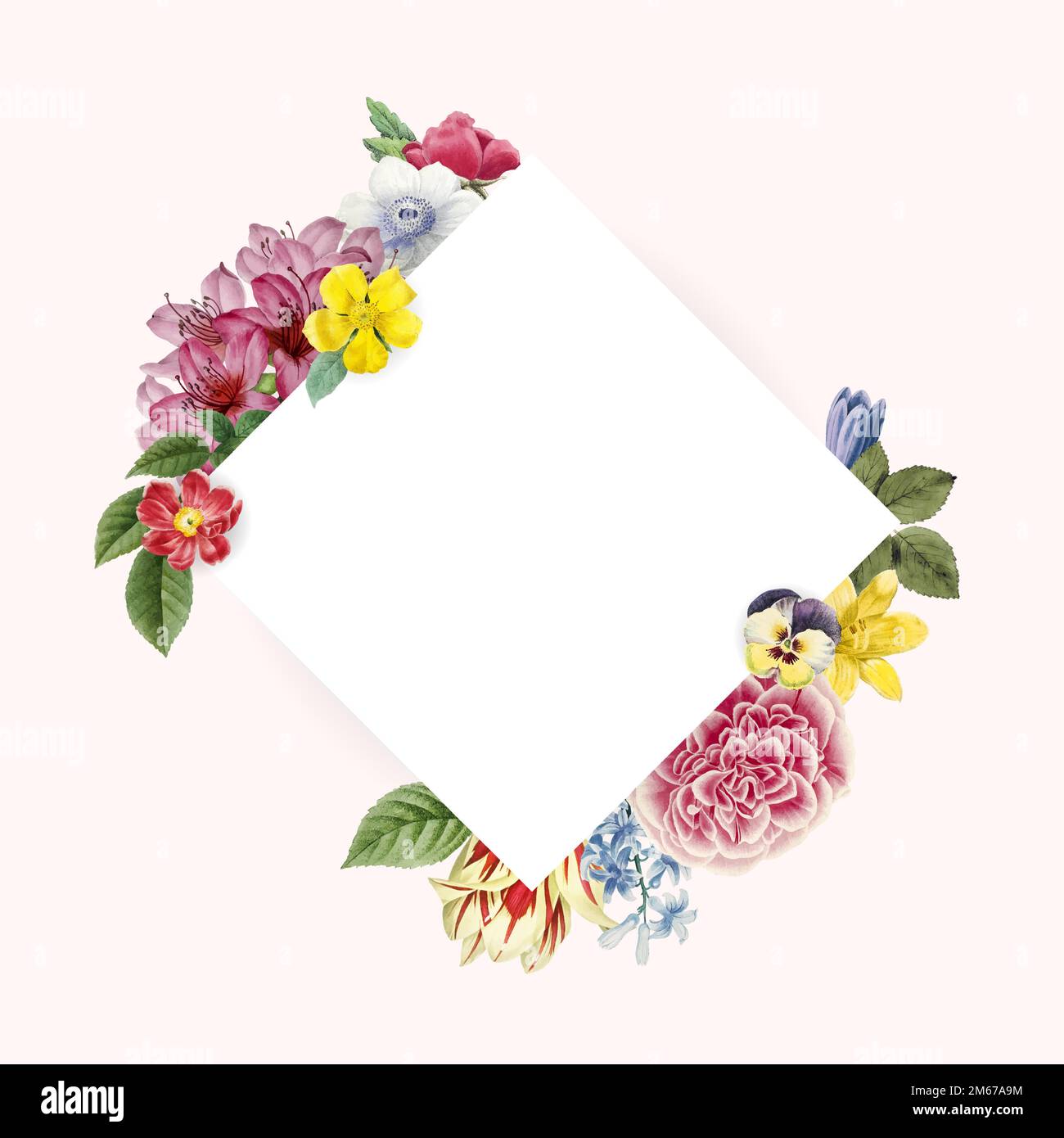 Floral themed copy space frame Stock Vector Image & Art - Alamy