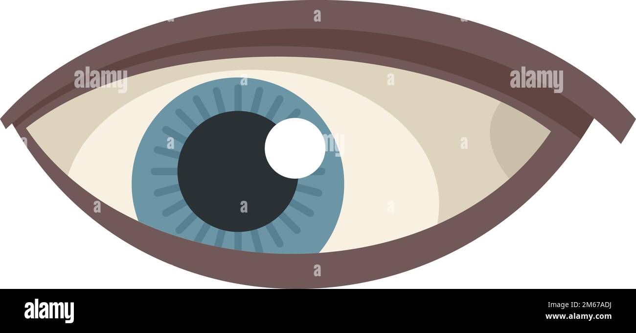 Eye health icon flat vector. Vision look. See human isolated Stock ...