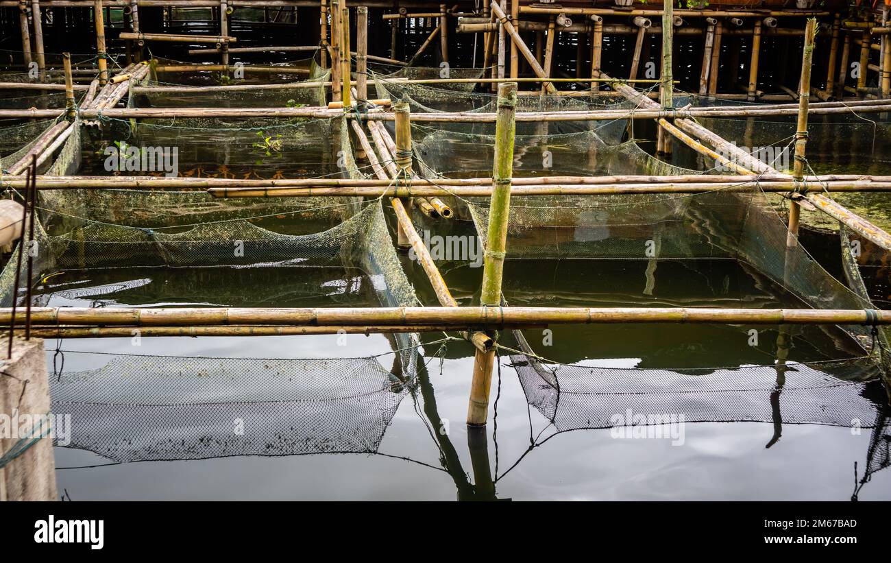 traditional fish farm on lake tondano made of bamboo Stock Photo - Alamy