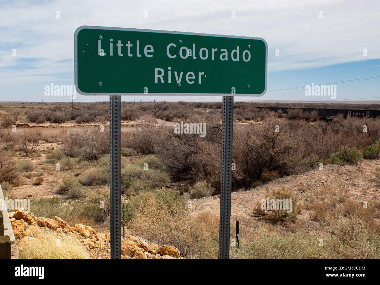 Dense thickets of salt cedar infest the banks and the riverbed of the ...