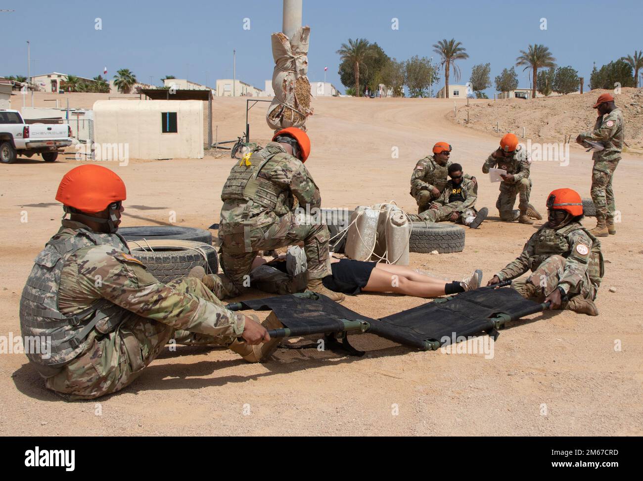 Task force sinai egypt hi-res stock photography and images - Alamy