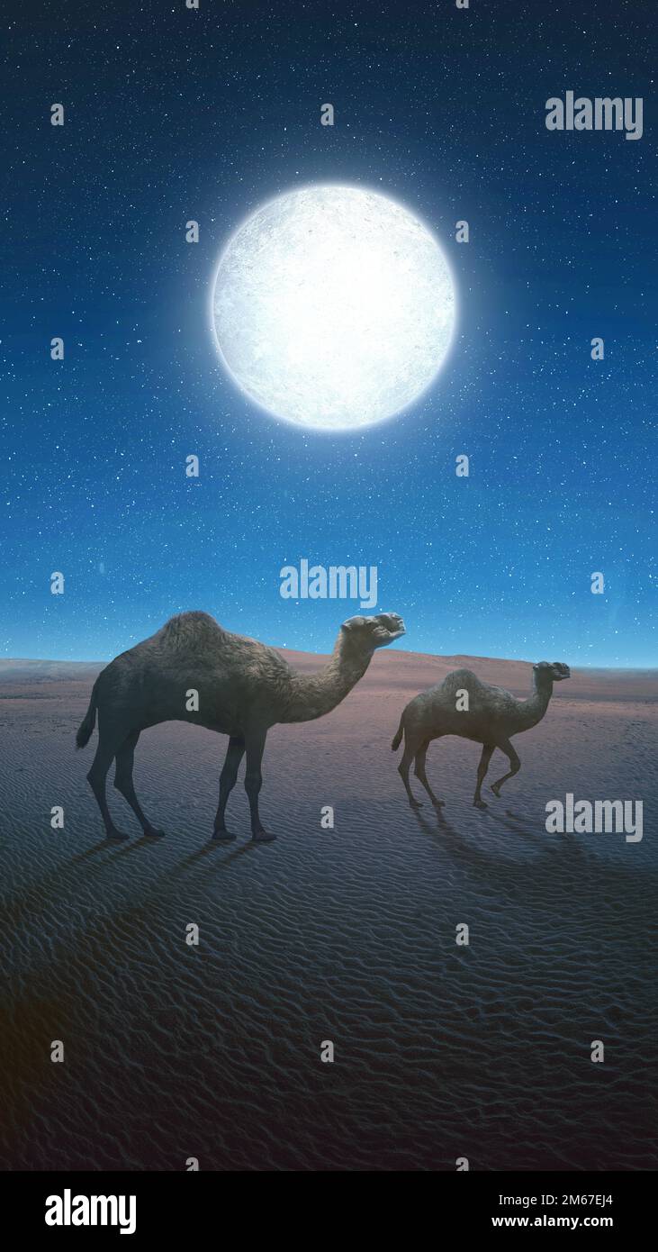 Camel crossing the desert with a night scene background Stock Photo - Alamy