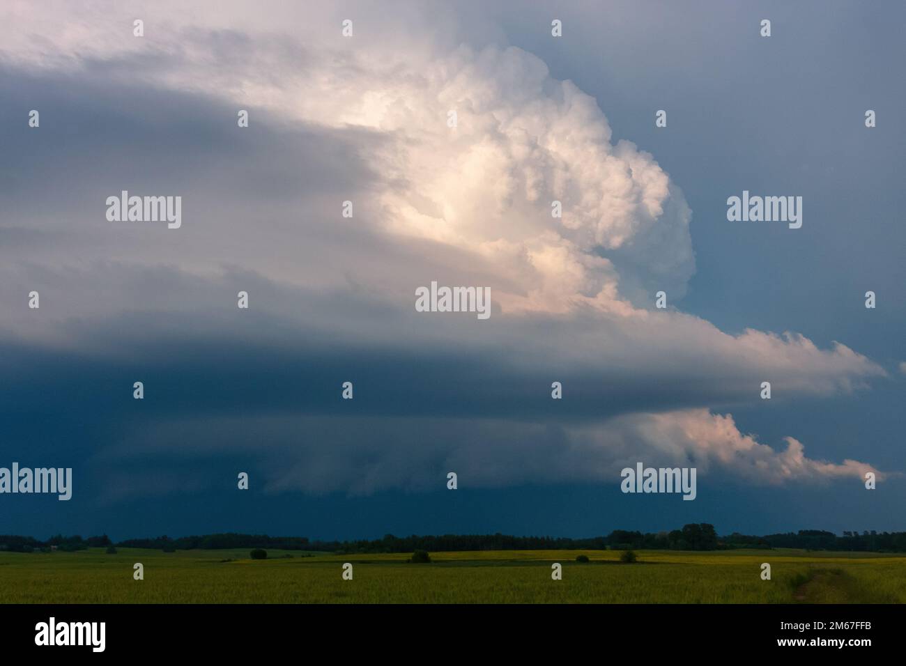 Storm clouds over field, storm cell, extreme weather, dangerous storm ...