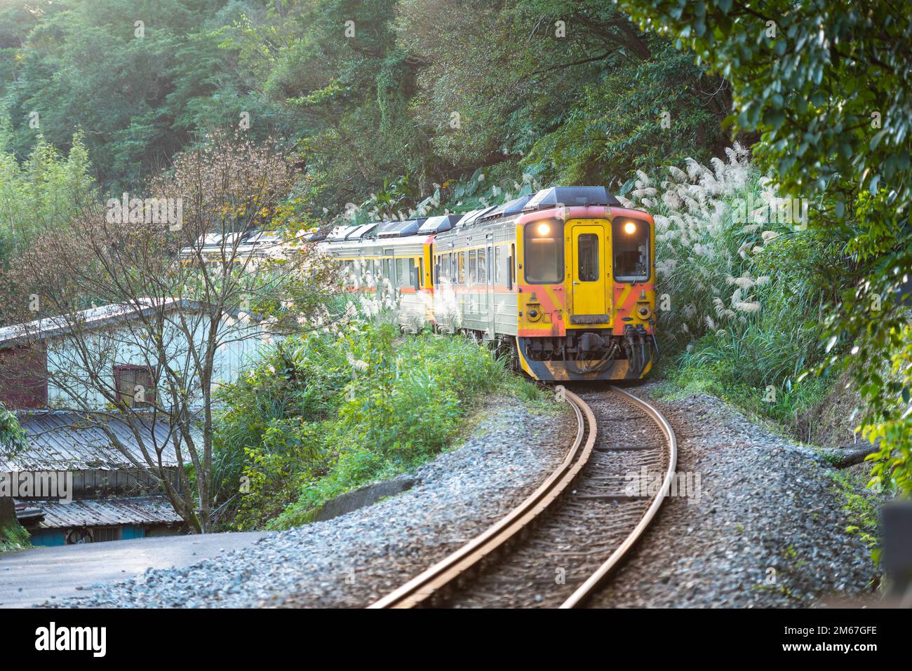 Diesel yellow train travels in the mountains and forests. Sandiaoling ...