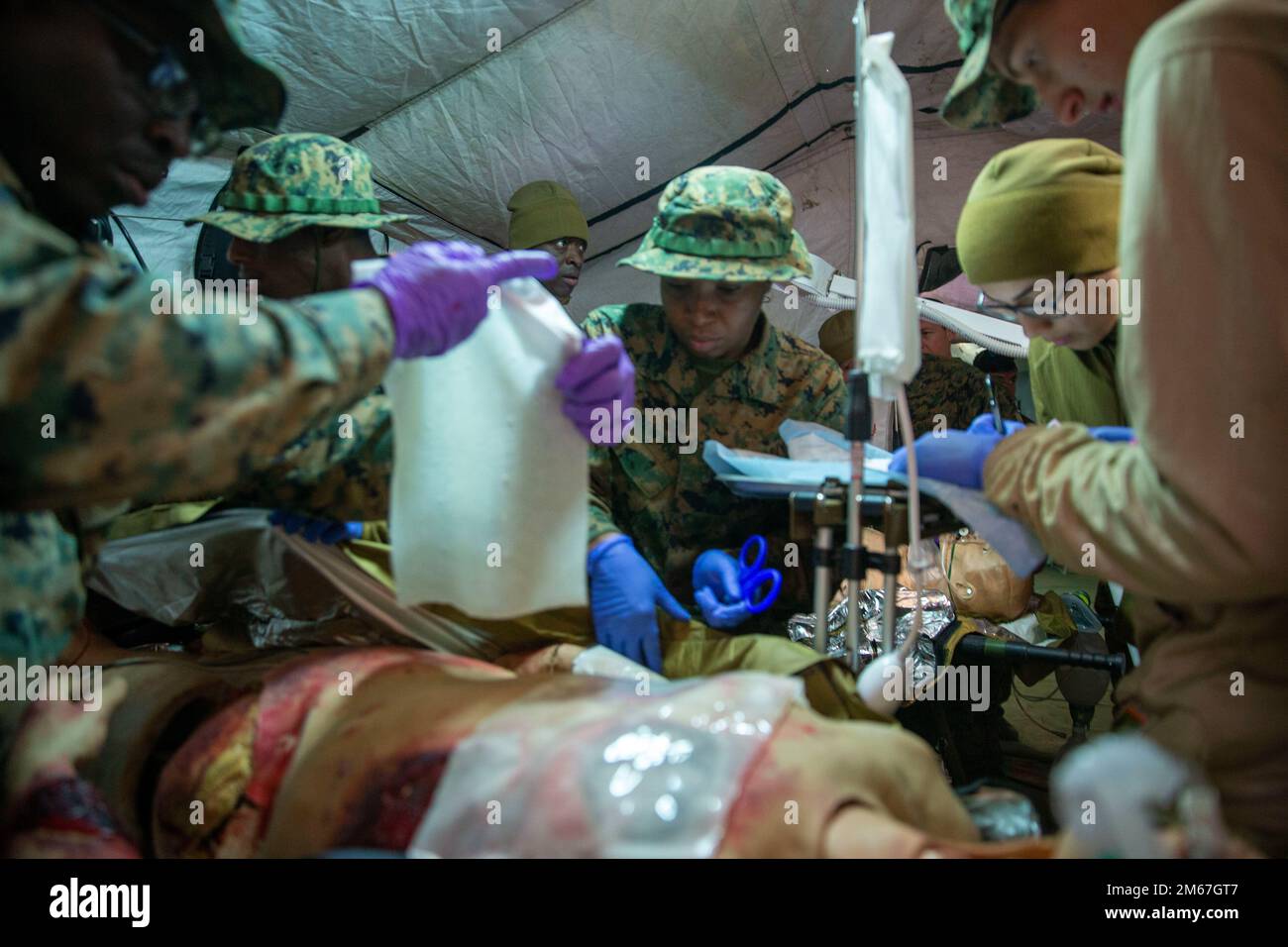 U.S. Sailors with 1st Medical Battalion, 1st Marine Logistics Group, I ...