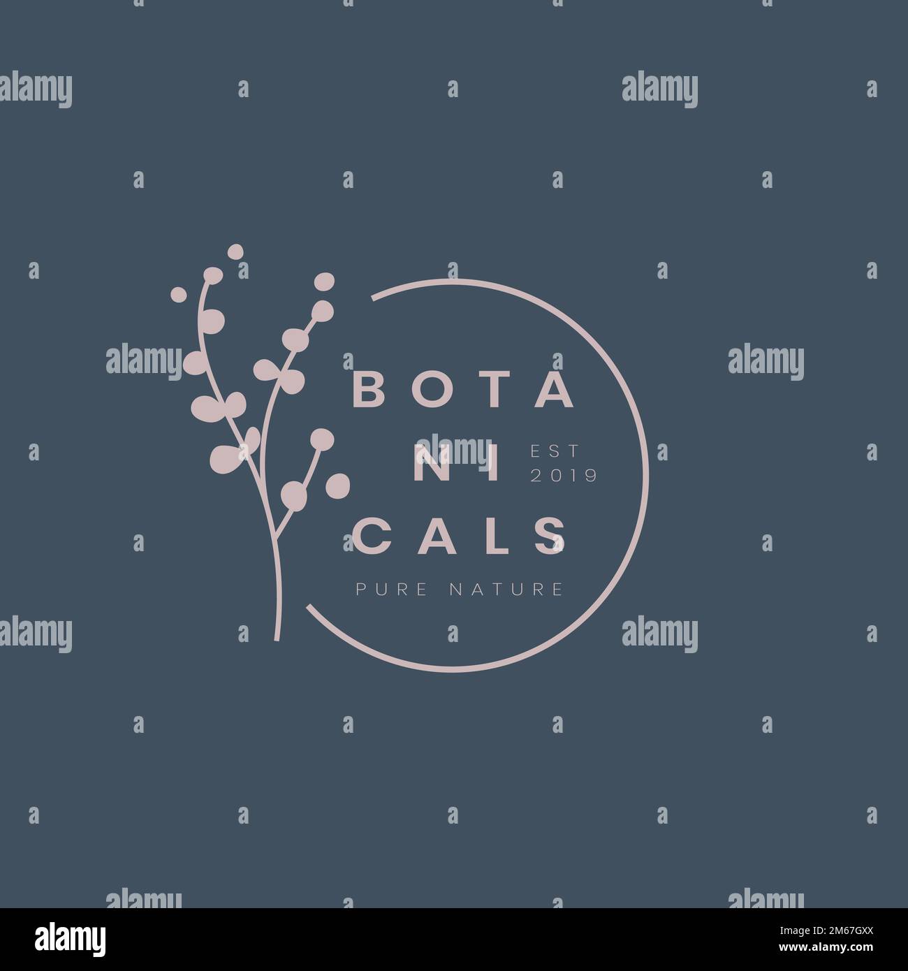 Botanicals nature logo design vector Stock Vector Image & Art - Alamy