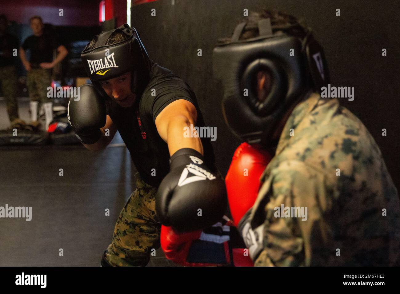 Unclassified released releasing authority hi-res stock photography and ...