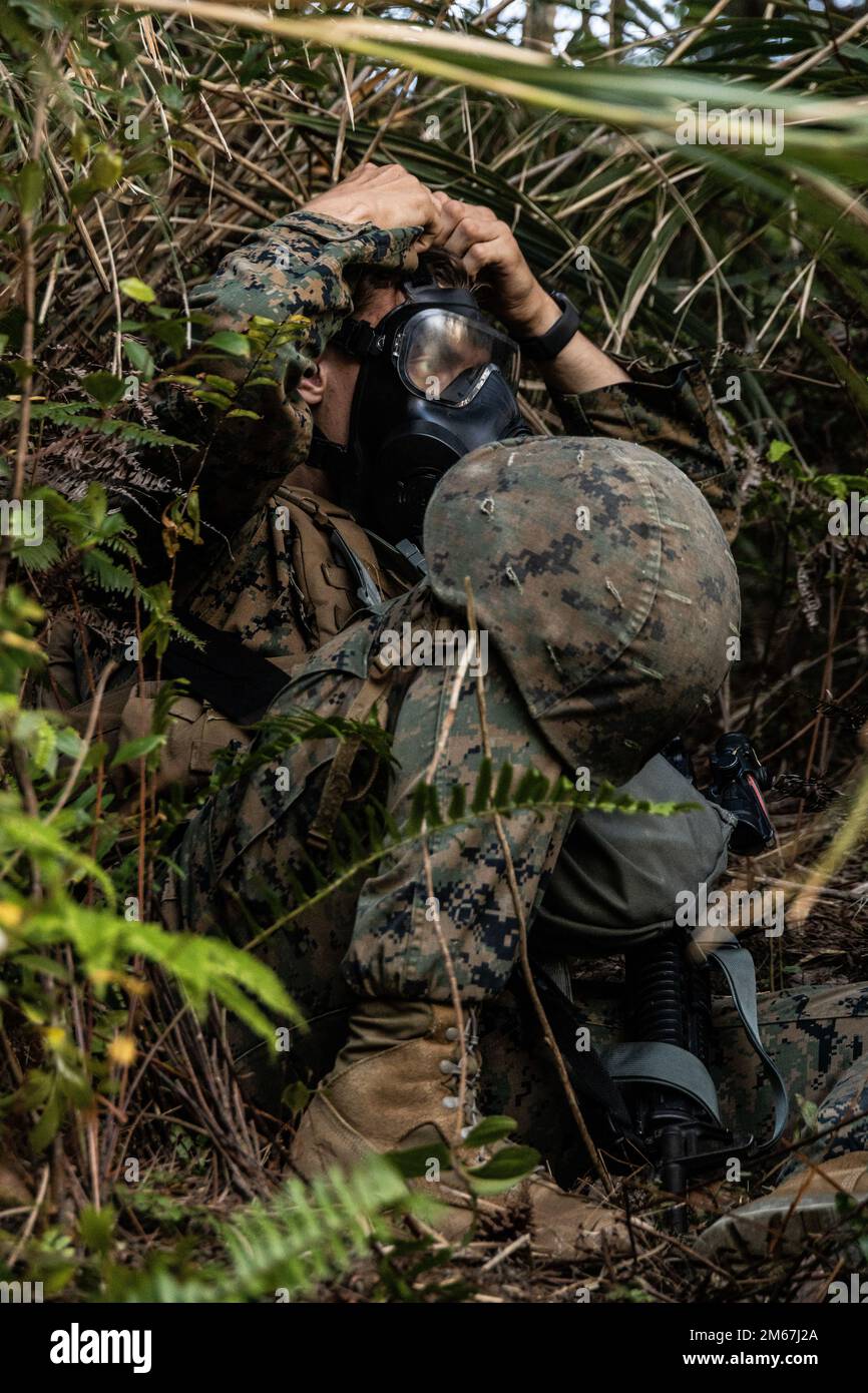 U.S. Marine Corps Lance Cpl. Conner Allam, an ammunition technician ...