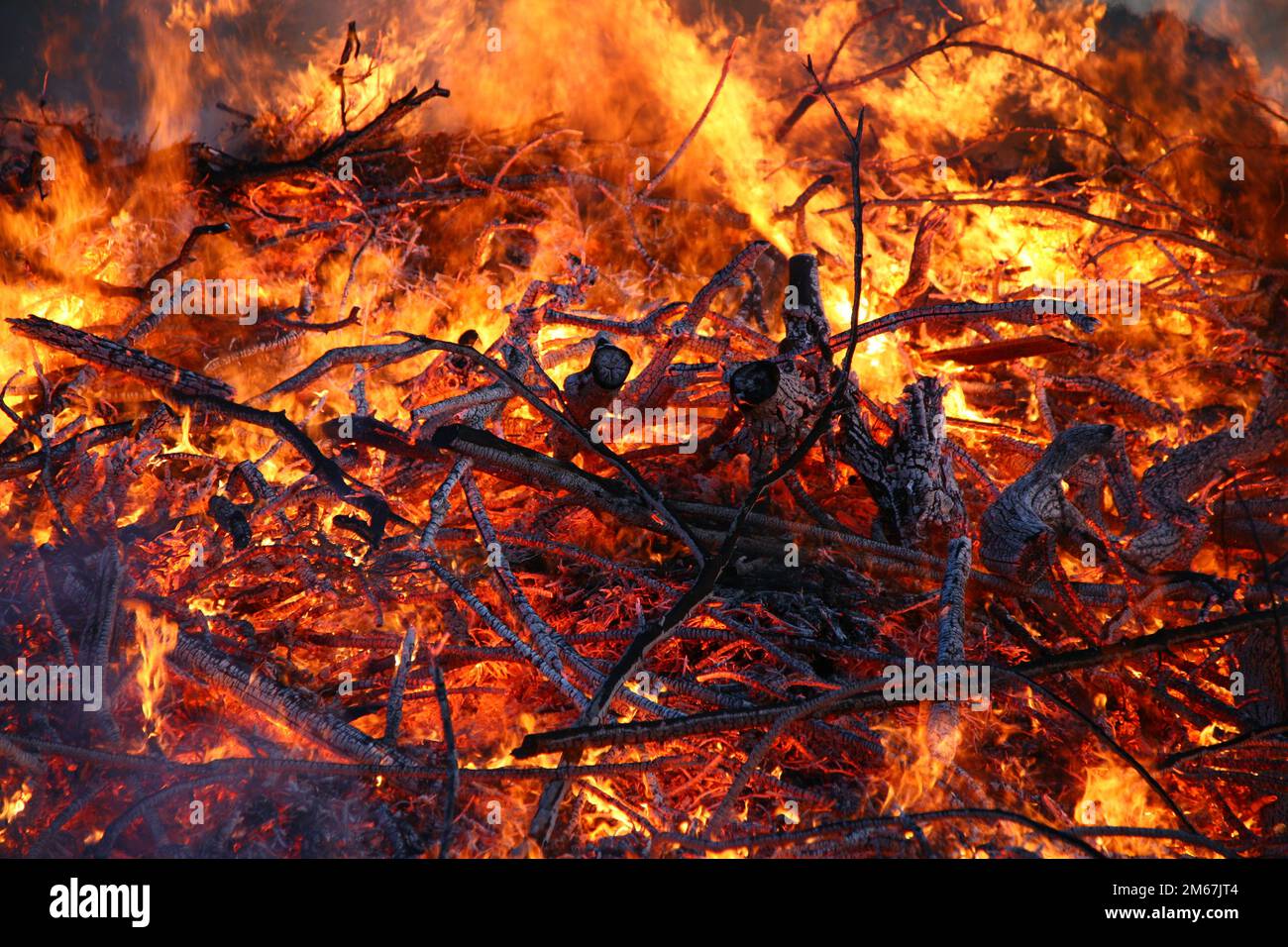 Controlled fire of trees and branches for the Saint John's fire in ...