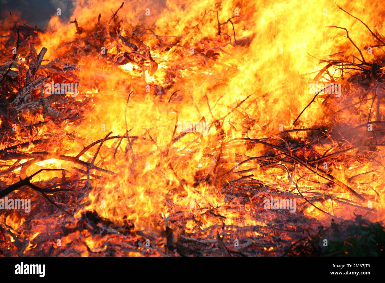 Controlled fire of trees and branches for the Saint John's fire in ...