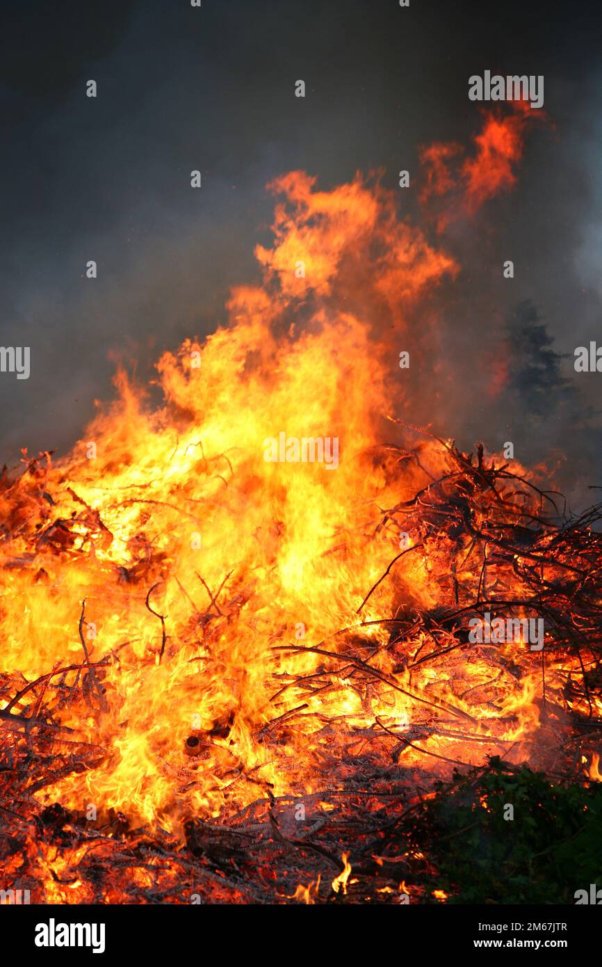 Controlled fire of trees and branches for the Saint John's fire in ...