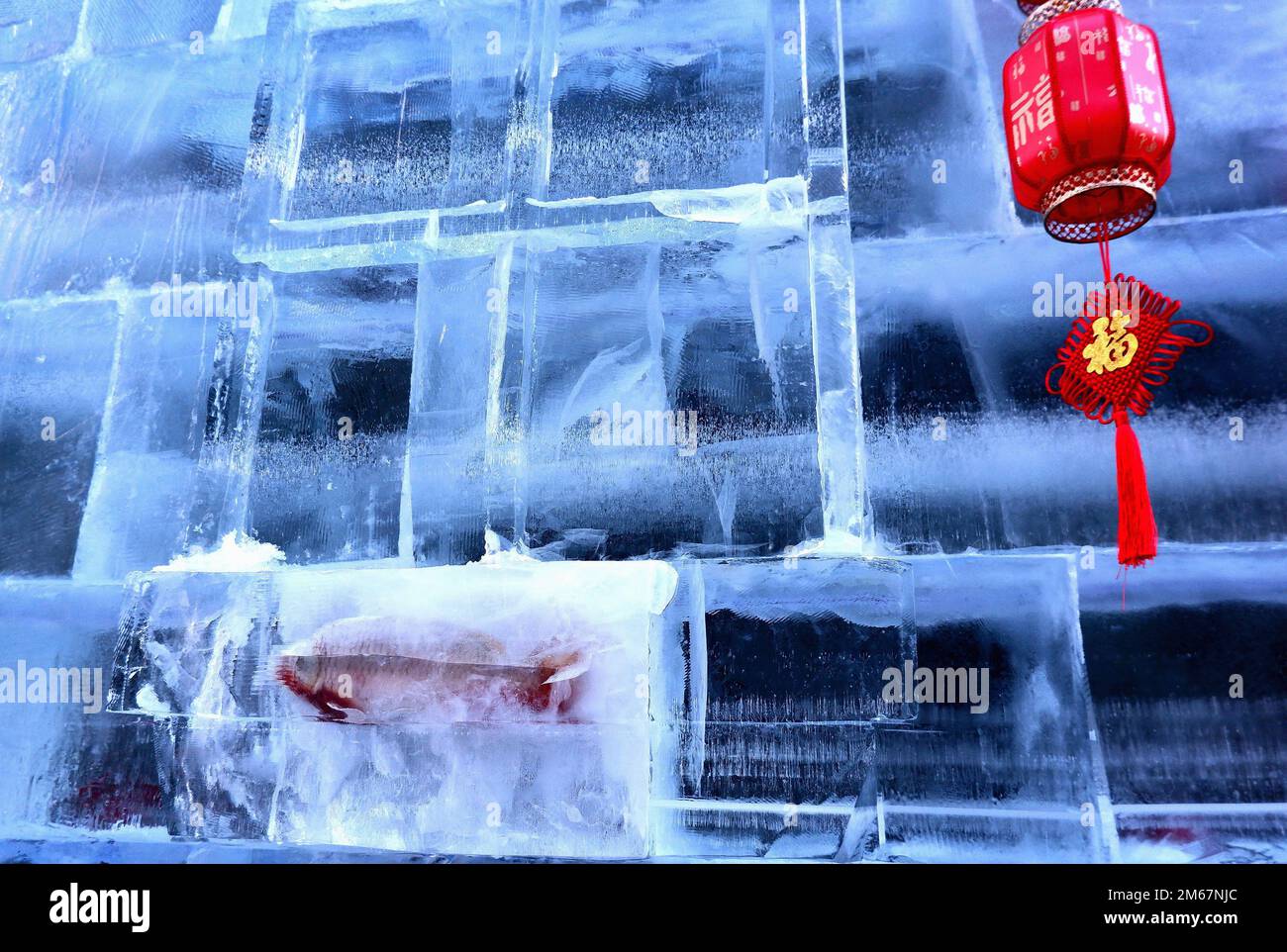 Two frozen fish appeared in a work of ice sculpture art, attracting ...