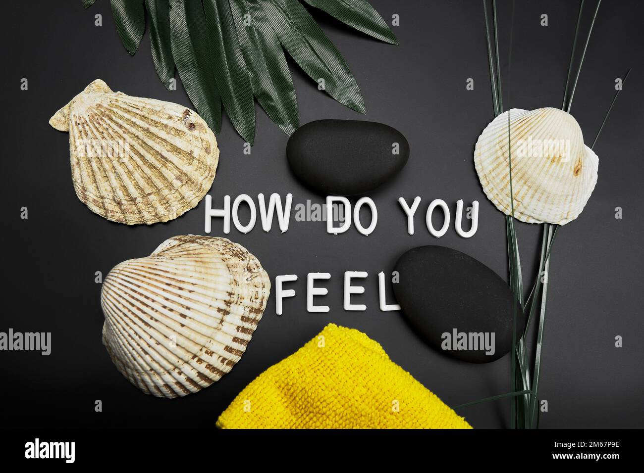 How Do You Feel reminder to check in with yourself be present smooth ...