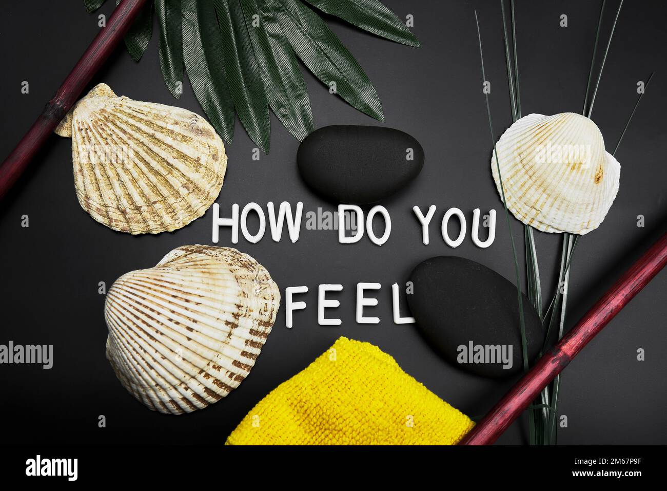 How Do You Feel reminder to check in with yourself be present smooth ...