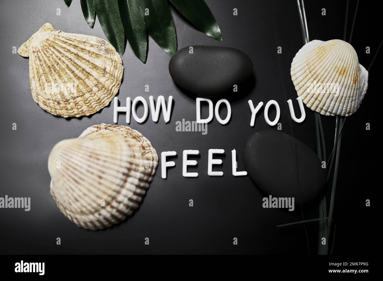 How Do You Feel reminder to check in with yourself be present smooth ...