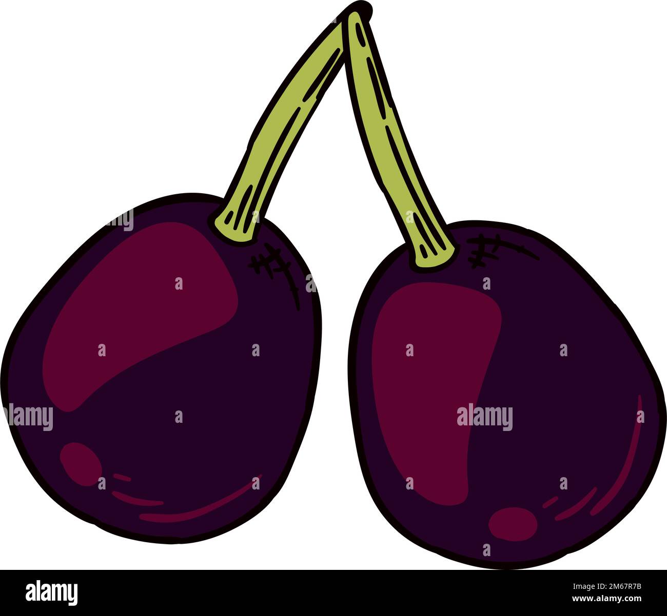 two grapes fresh fruits Stock Vector Image & Art - Alamy