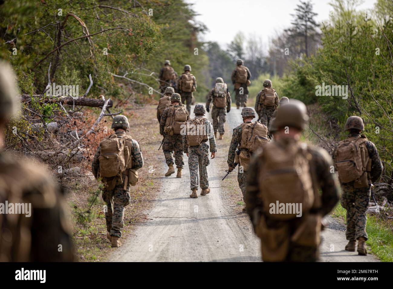 Marines with second platoon, Bravo Company, Marine Barracks Washington ...
