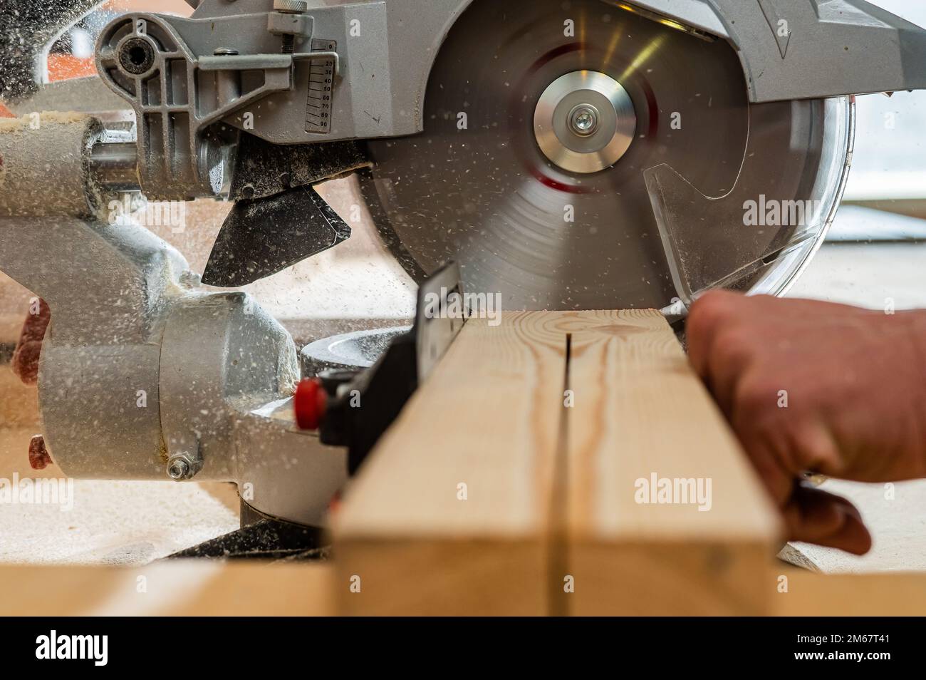 Master cuts the board with a circular saw in the workshop Stock Photo ...