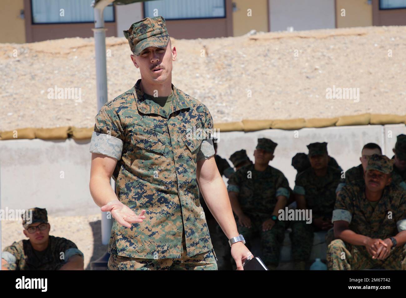 Lsst 29 palms hi-res stock photography and images - Alamy