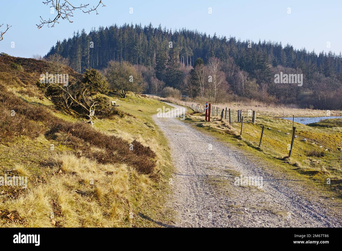 Lowland - Rebild National Park. A dirt road through lowland heath ...
