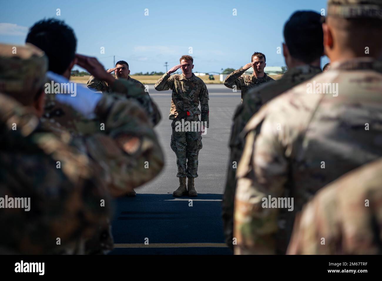 Osseous joint hi-res stock photography and images - Alamy