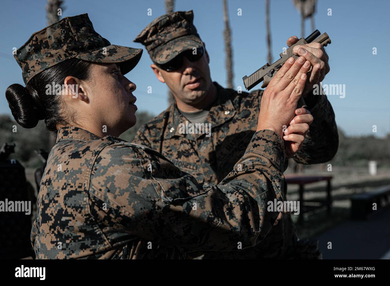Edson range hi-res stock photography and images - Alamy