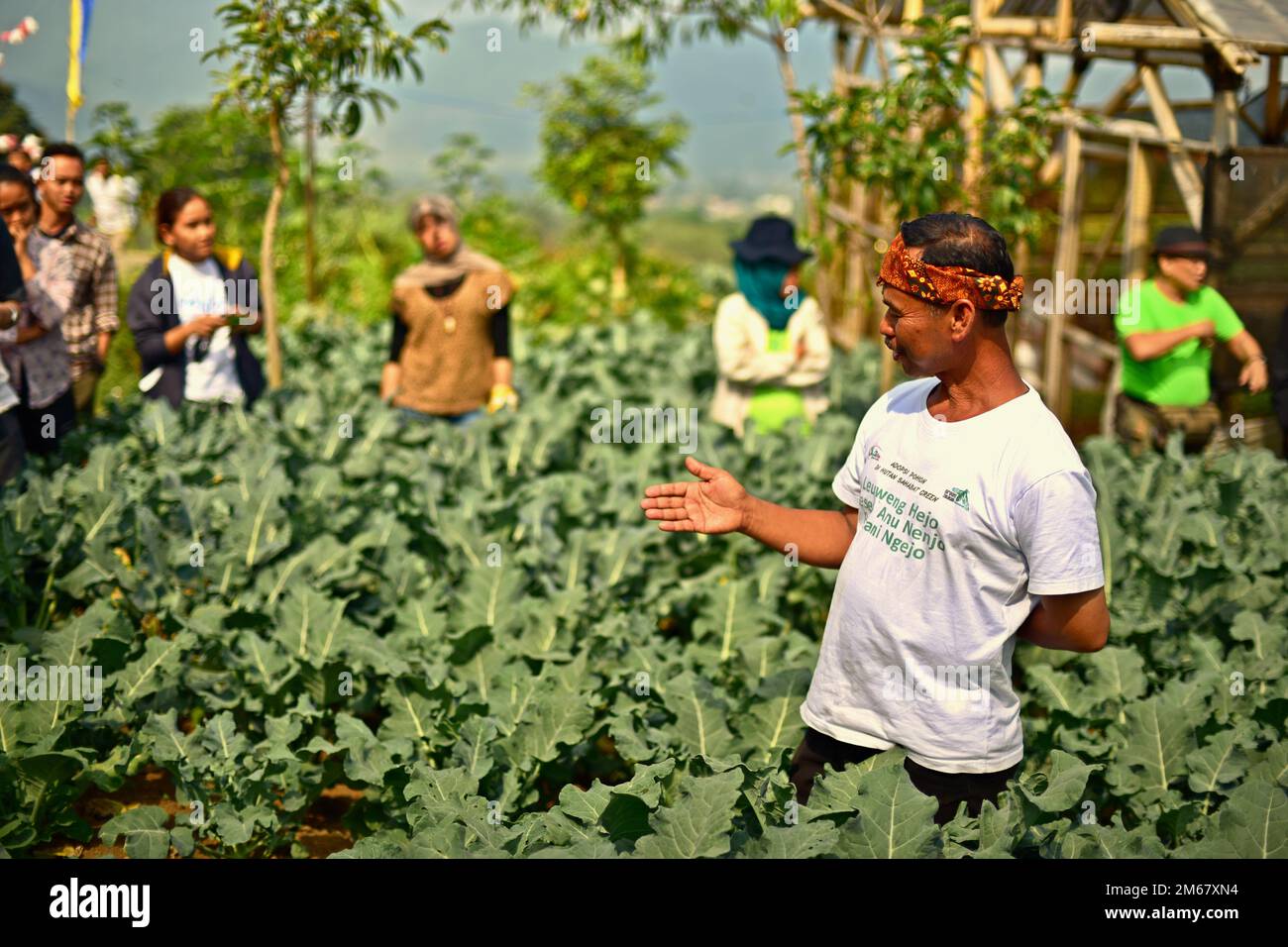 A farmer giving explanation on organic farming to visitors as they are ...