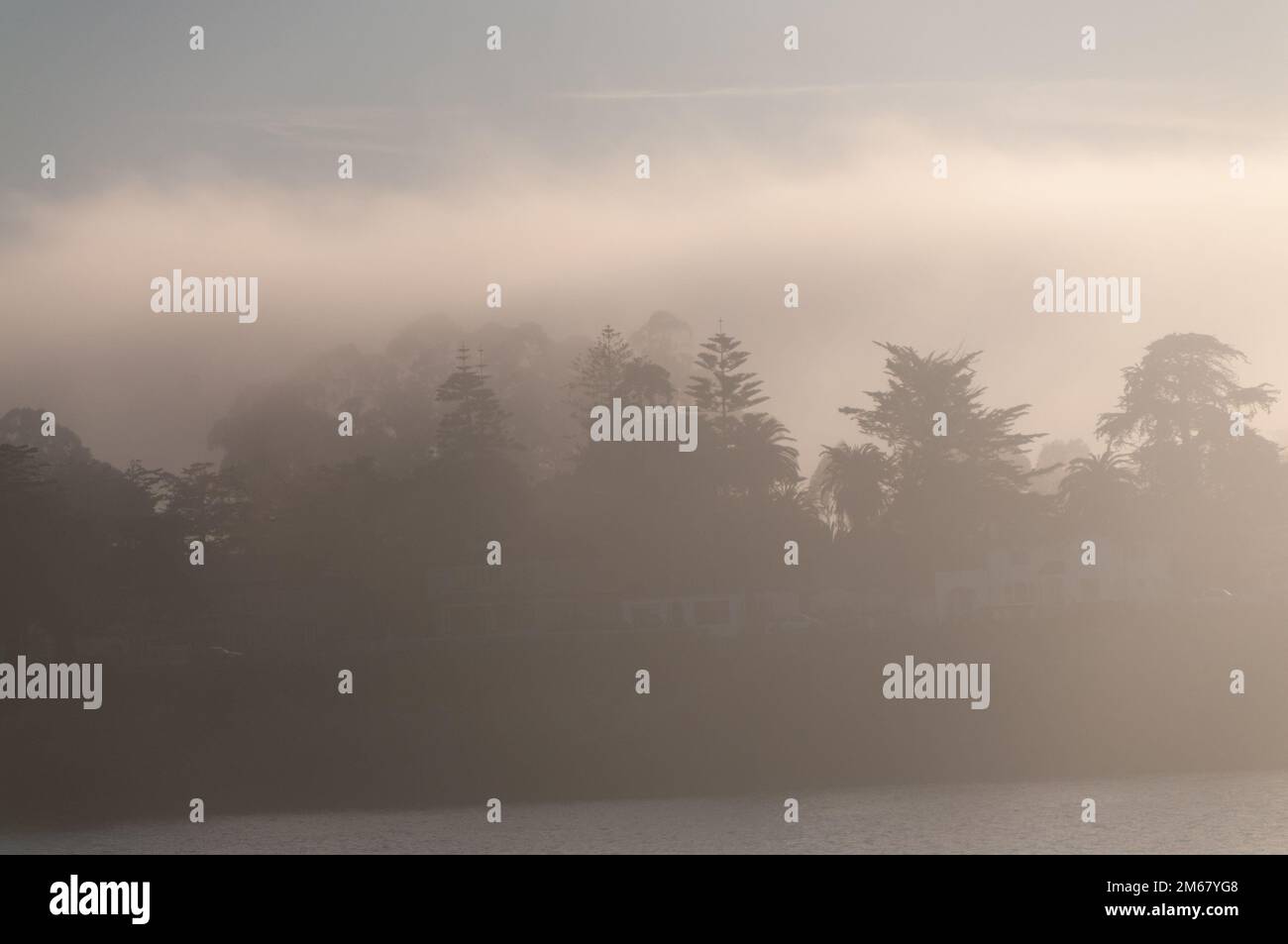 Fog covered trees illuminated by the light of the setting sun. Santa ...