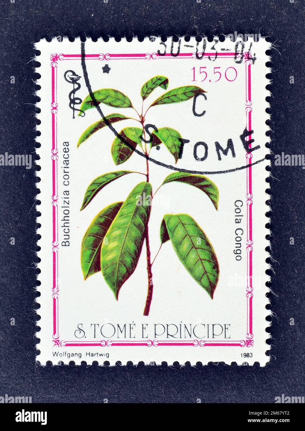 Cancelled postage stamp printed by Sao Tome and Principe, that shows ...