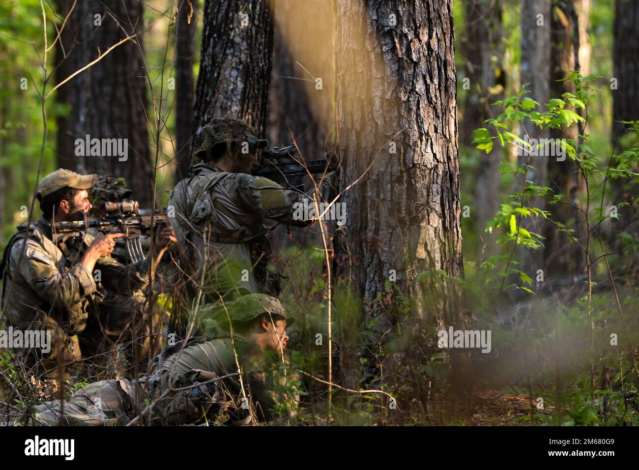 3rd special forces group airborne hi-res stock photography and images ...