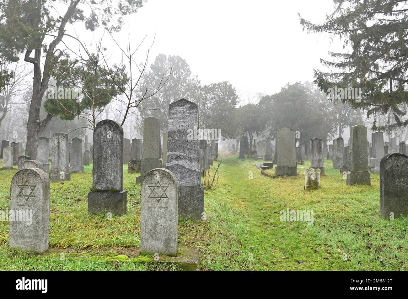 Vienna, Austria. Vienna Central Cemetery. The Jewish department at the ...