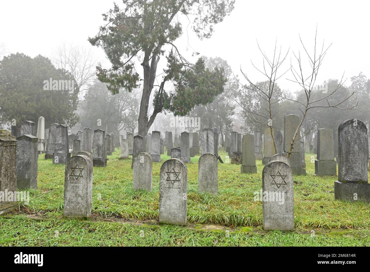 Vienna, Austria. Vienna Central Cemetery. The Jewish department at the ...