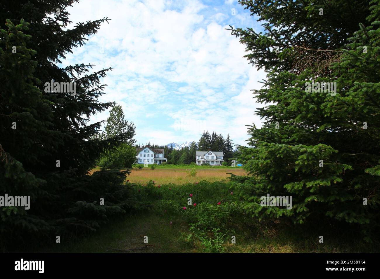 Traditional houses Port Chilkoot, Fort Seward in the small town of ...