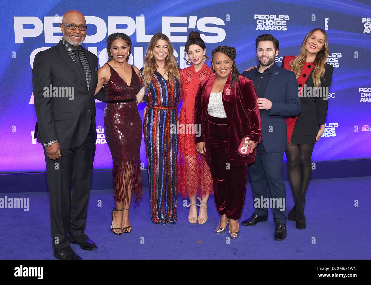 James Pickens Jr., Kelly McCreary, Ellen Pompeo, Caterina Scorsone ...
