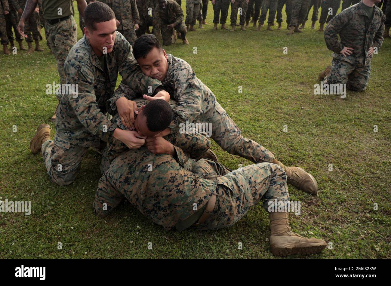 U.S. Marines with Combat Logistics Regiment 37, 3rd Marine Logistics ...