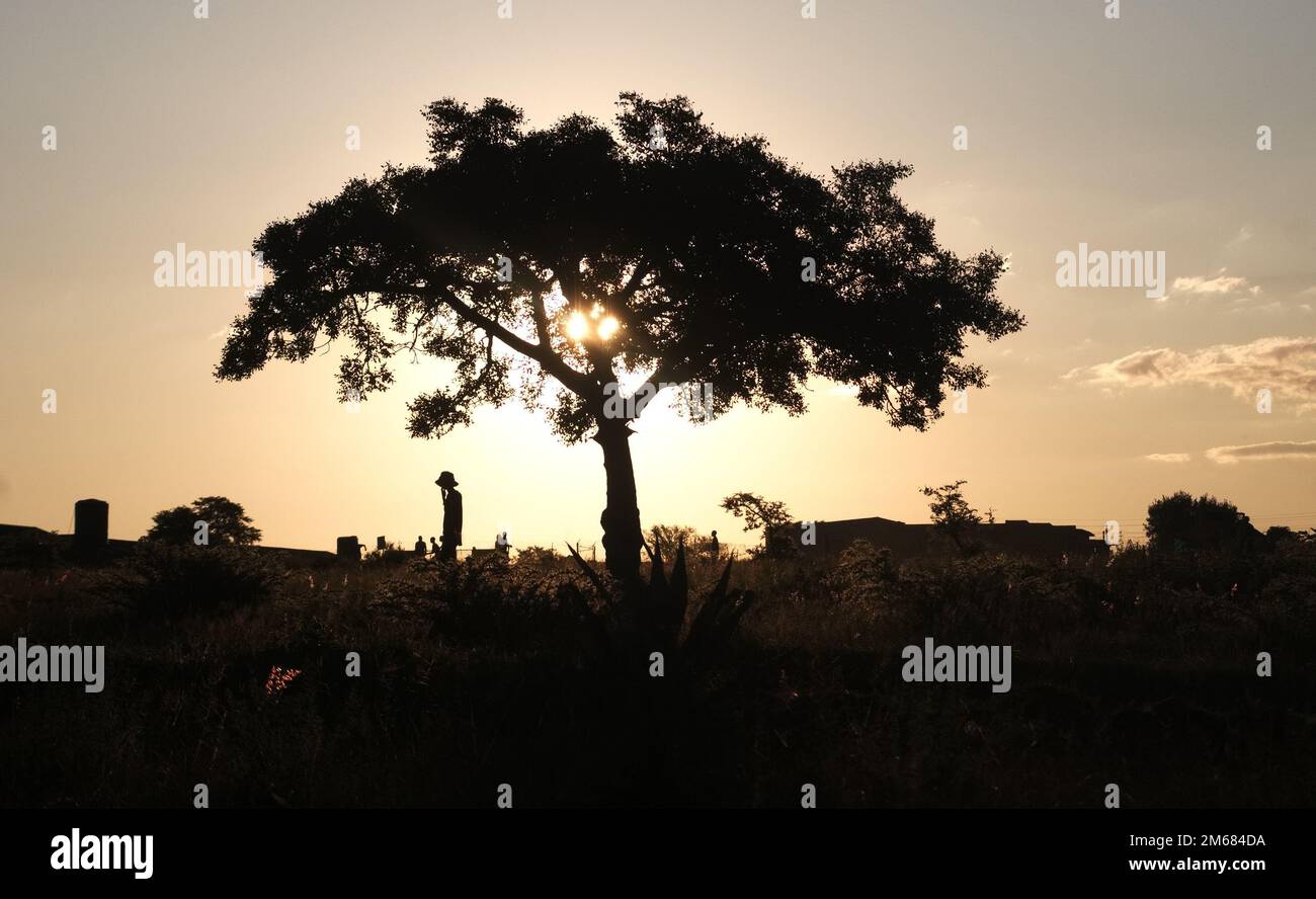 African late day landscape hi-res stock photography and images - Alamy