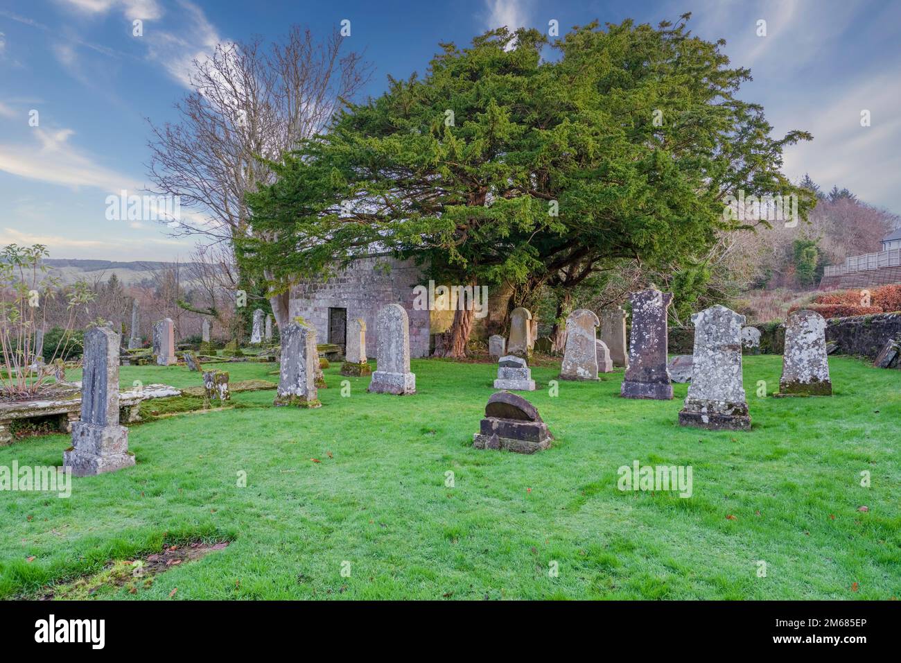 Gravestone family tree hi-res stock photography and images - Alamy